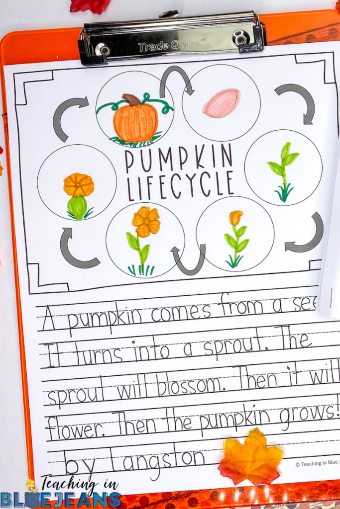Pumpkin Science: States of Matter