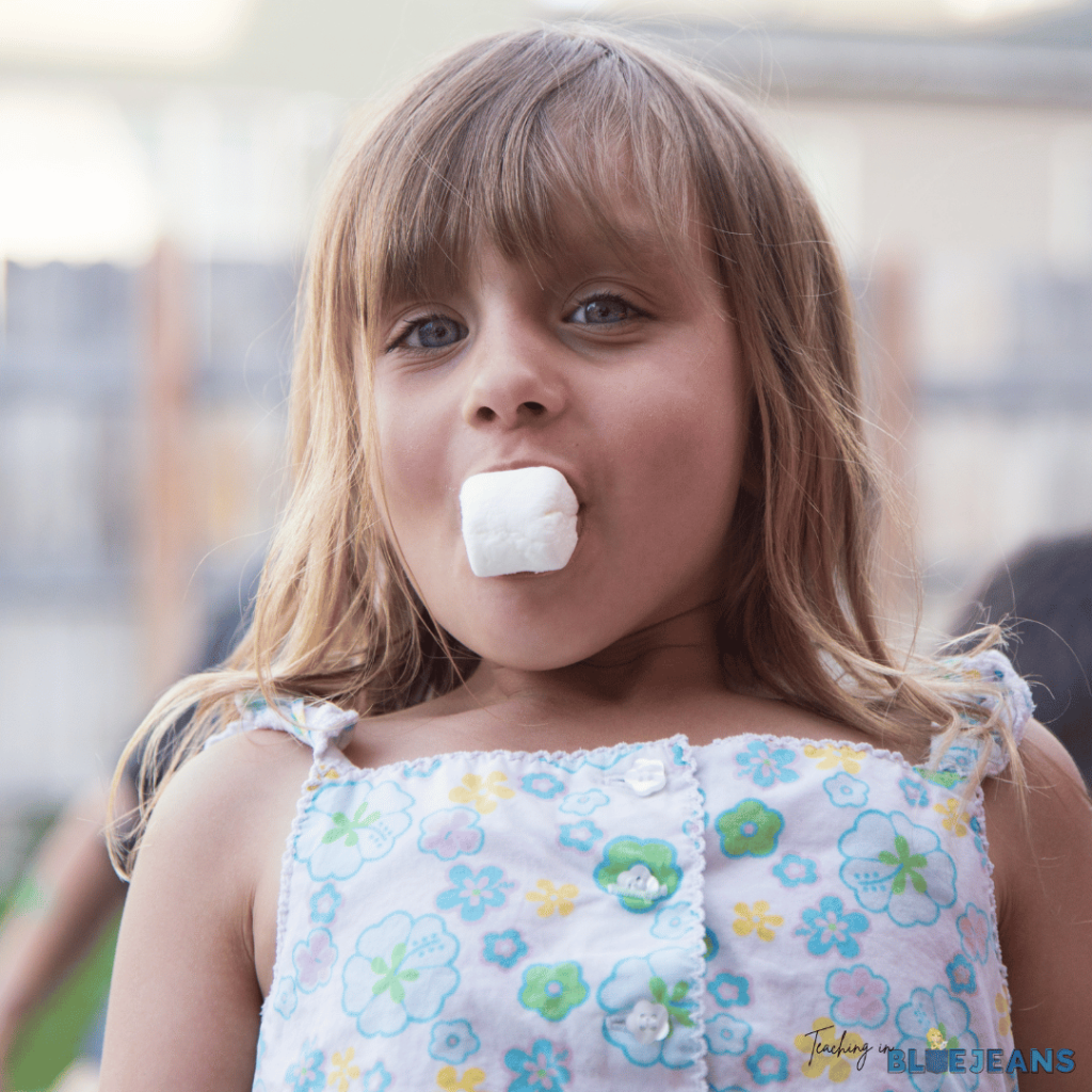 Marshmallow Experiment New Research Questions 'Marshmallow Experiment'