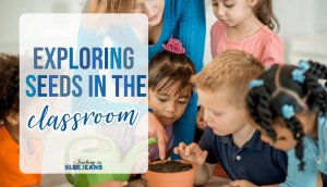 Exploring Seeds in the Classroom