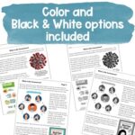 Coronavirus Reading Passage and Questions for 3rd 4th 5th | Distance ...