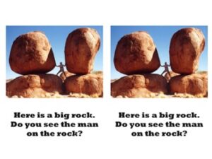 Rocks | Emergent Science Reader | Sight Word Reader | | Teaching in ...