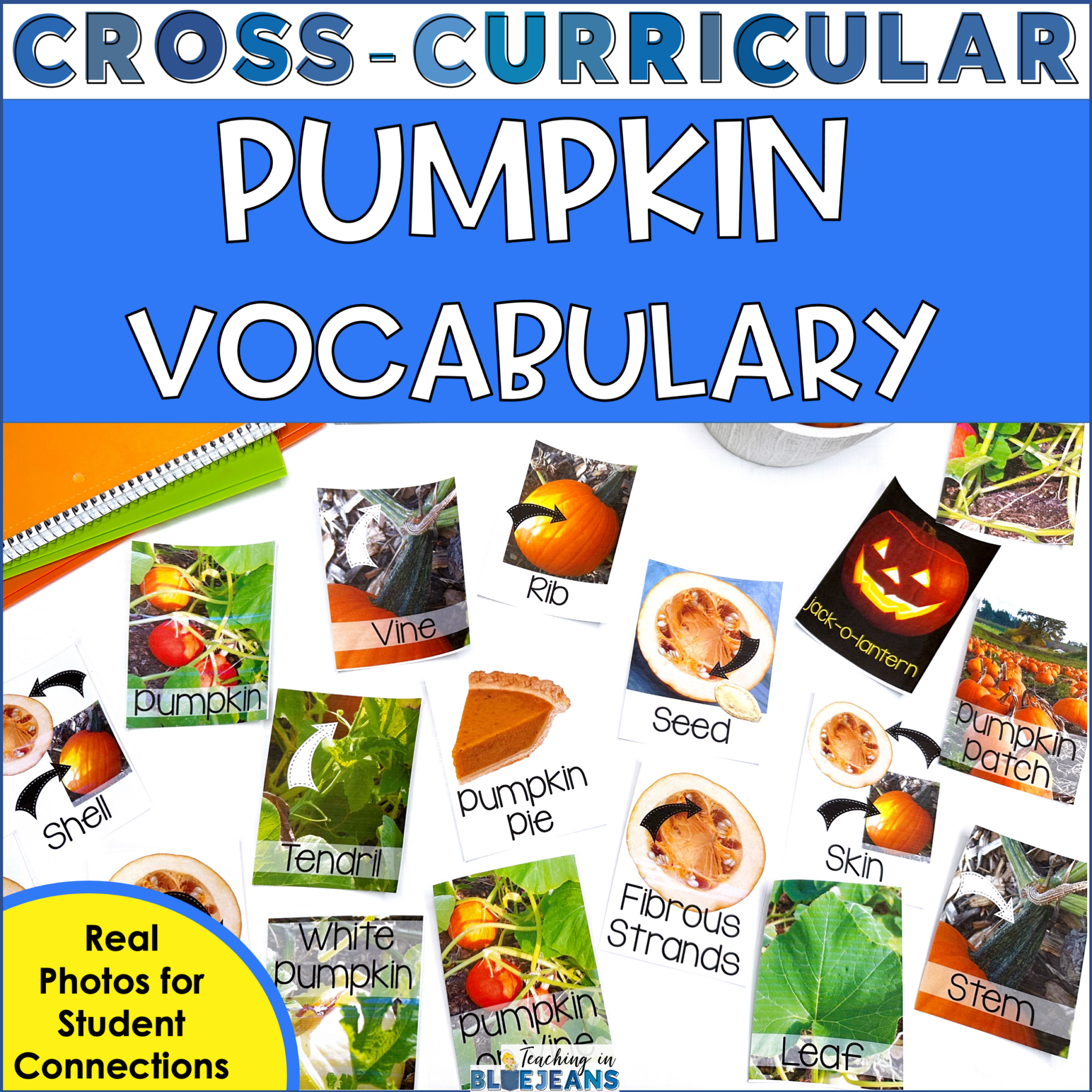 Pumpkin Vocabulary Cards | Pumpkin Life Cycle Vocabulary | Fall ...