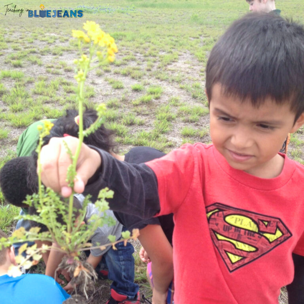 12 Engaging & Educational Spring Activities for Kids