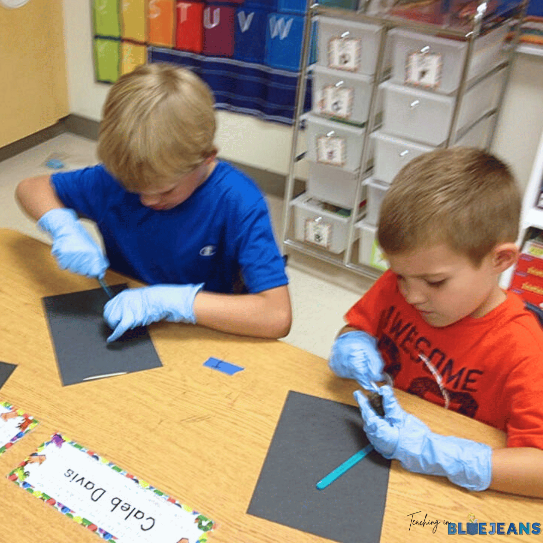 The Power of Experiential Learning Activities