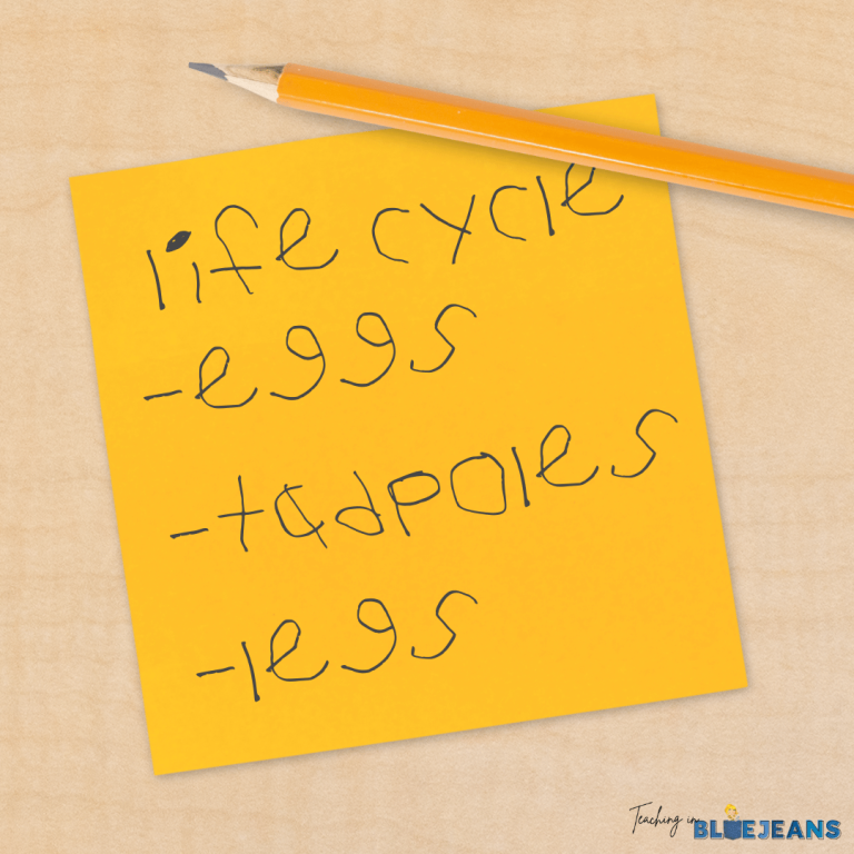 Breaking Down the Writing Process for Kids
