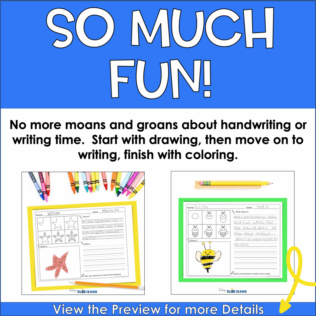 4 Seasons Directed Drawing & Writing Prompts – Print & Cursive ...